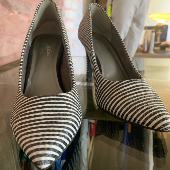 Seychelles | Shoes | Seychelles High Heels With Midcentury Vibe | Poshmark